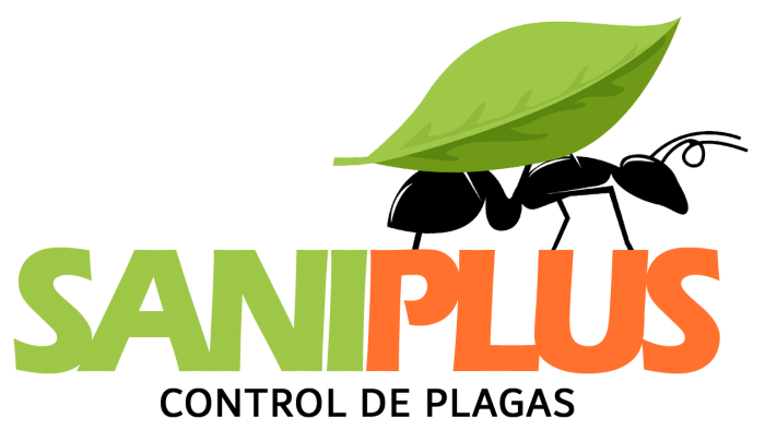 Zancudos | Saniplus | Control de Plagas y Prevención